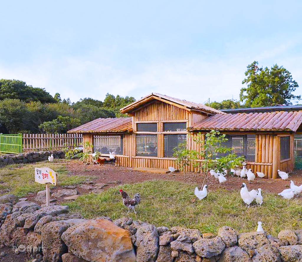 Chungchobat Jeju Farm Ticket We Offers