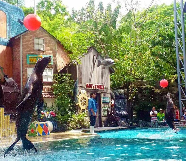 Buy discount ticket for Safari World Bangkok at discounted price | we ...