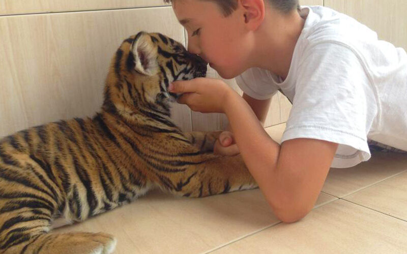 Discount ticket - Tiger World Thailand - Damnoen Saduak | we-offers.com
