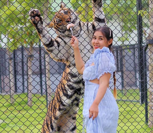 Discount ticket - Tiger World Thailand - Damnoen Saduak | we-offers.com