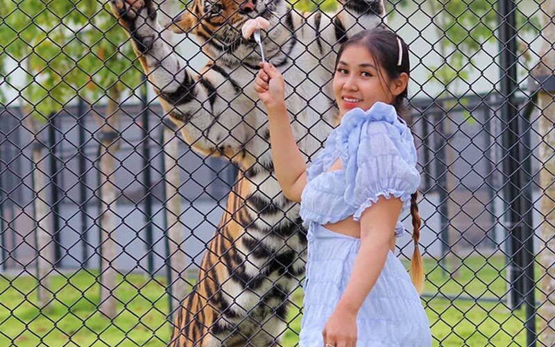 Discount ticket - Tiger World Thailand - Damnoen Saduak | we-offers.com