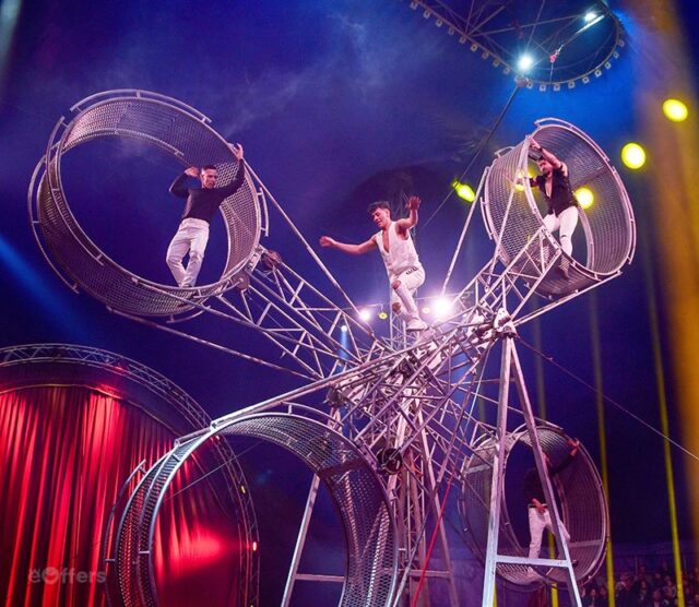 Phuket Circus show ticket, special price promotion | we-offers.com